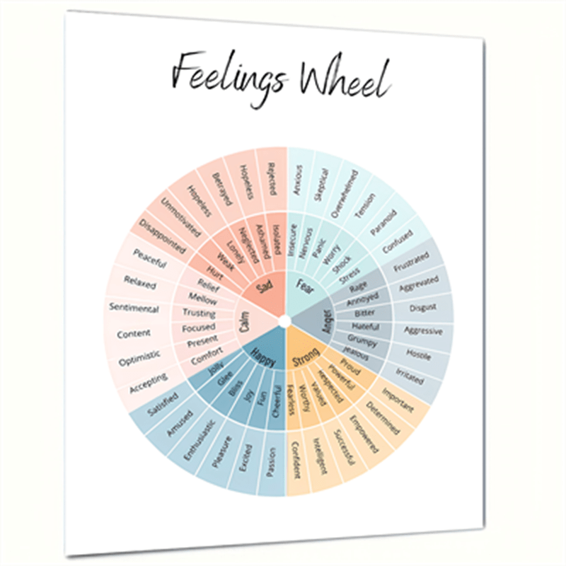 Feelings Wheel Poster Emotions Chart Therapy Decor – CRAZE
