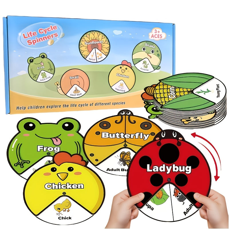 Kids Felt Lifecycle Toys - Educational Tools for ECD – CRAZE
